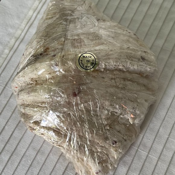 Party Supplies | Vintage Nip Shell Cocktail Appetizer Hors D Oeuvres ...